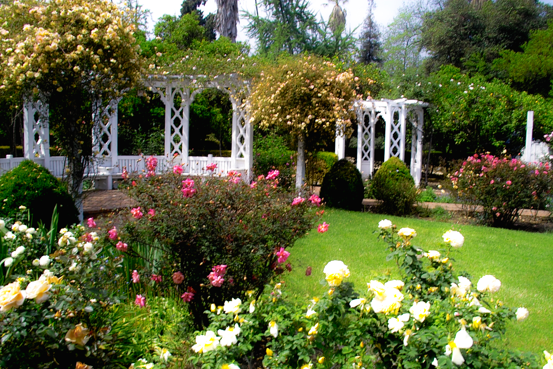 Pasadena Arboretum Garden Celebration