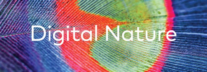 Digital Nature 2019 - The Arboretum