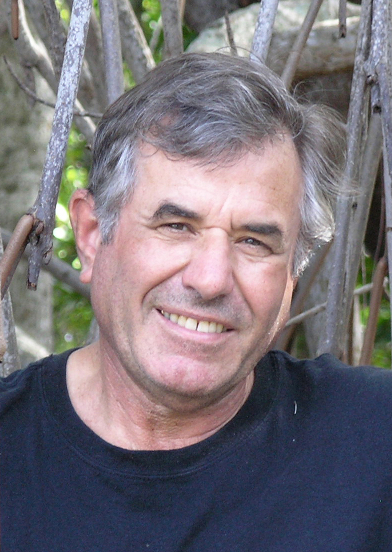 Dawn Redwood: Ancient Tree Reborn in Music - The Arboretum