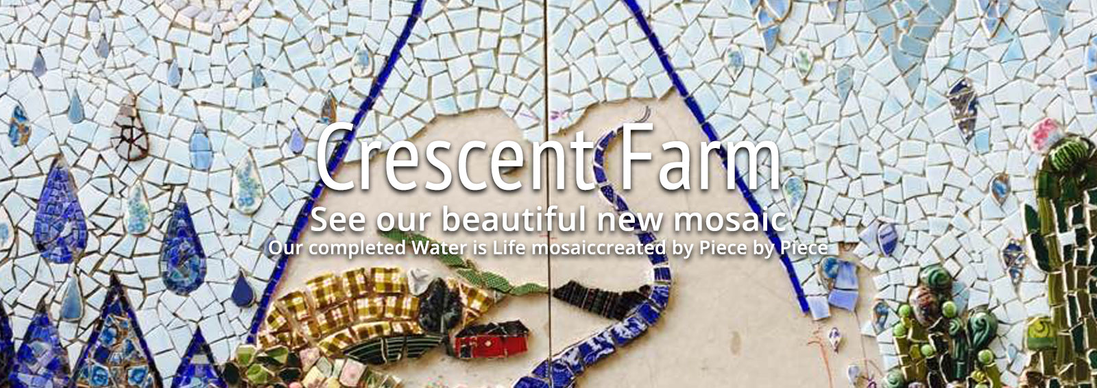 Crescent Farm - The Arboretum