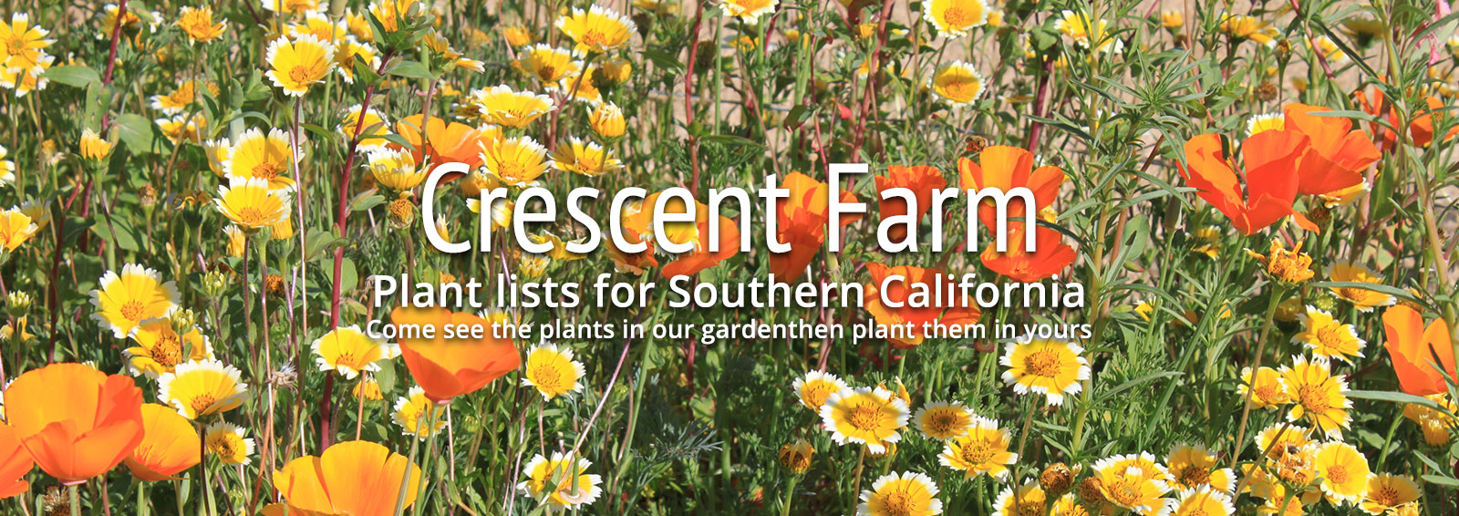 Crescent Farm - The Arboretum