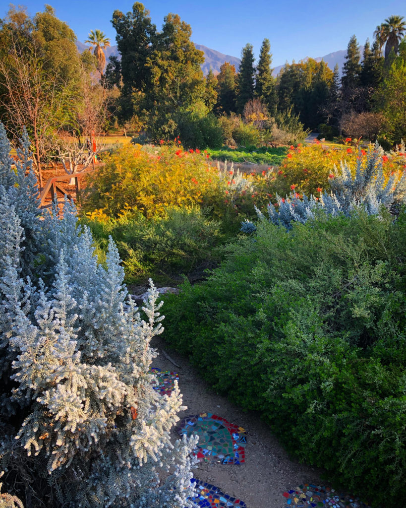Zoom. Crescent Farm: Water Conservation through Regenerative Gardening ...