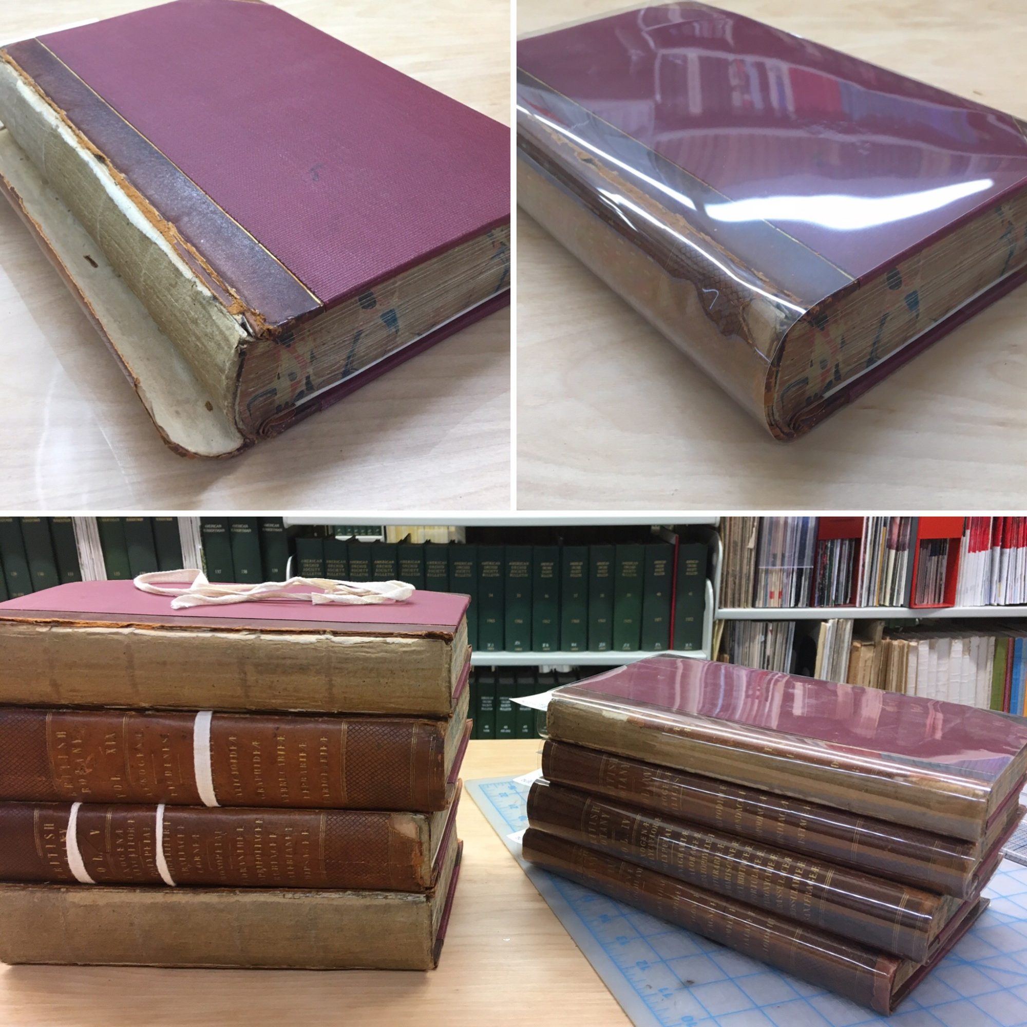 Rare Book Restoration Project - The Arboretum
