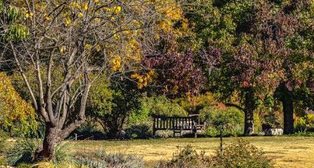 Fall Color 2021 - The Arboretum