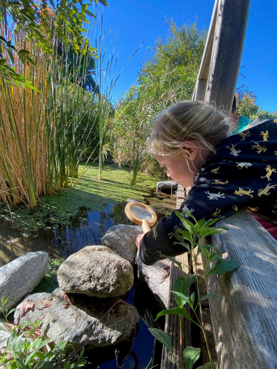 Arboretum Nature Club - The Arboretum