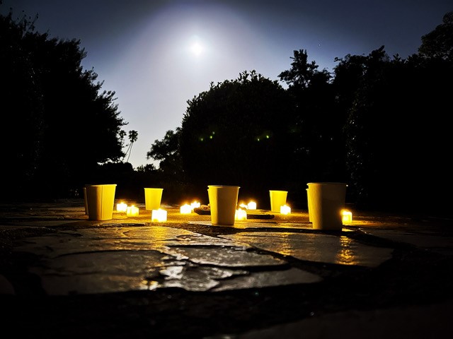 Forest Bathing: Full Moon - The Arboretum