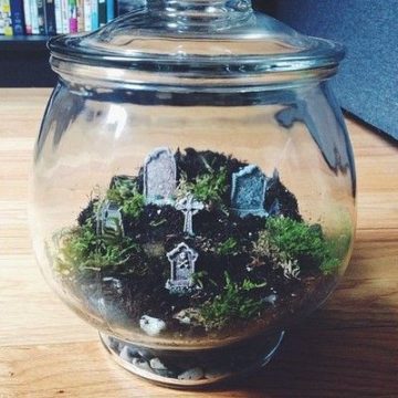 Cemeterrarium Workshop - The Arboretum