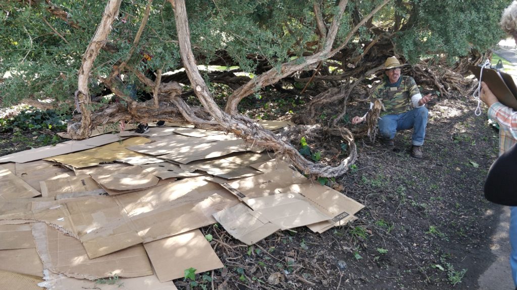 Crescent Farm Workshop: Lasagna Mulching - The Arboretum