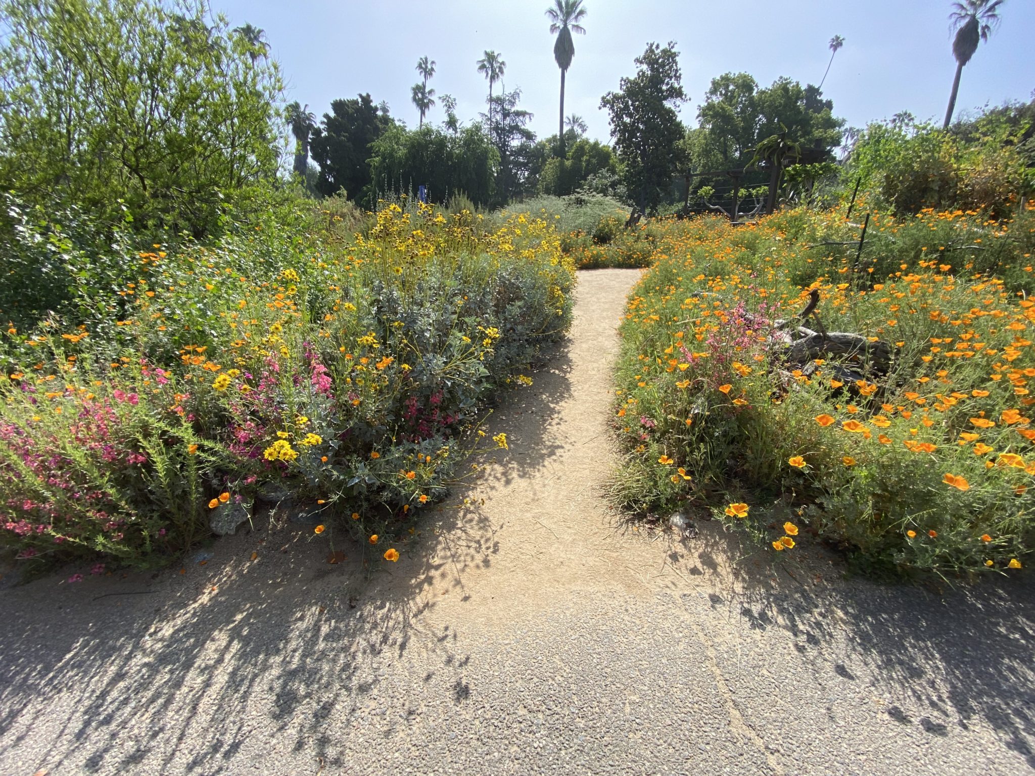 Crescent Farm Workshop: Tour with John Latsko - The Arboretum