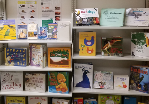 Front Page - The Arboretum