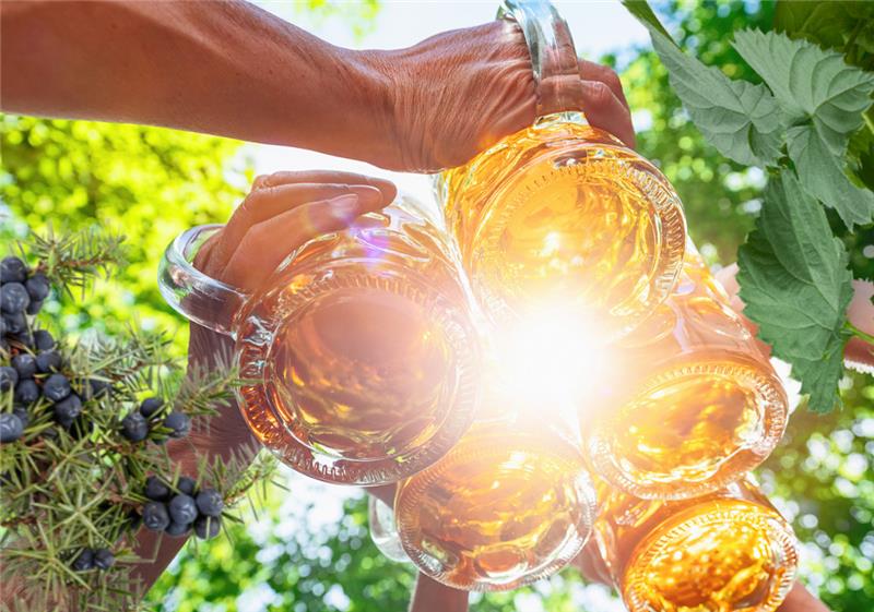 Fall Boozy Botany- Sold Out! - The Arboretum