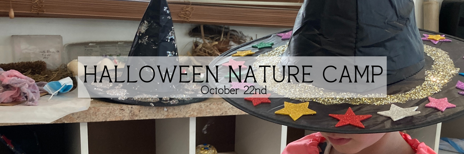 Nature Camp - The Arboretum