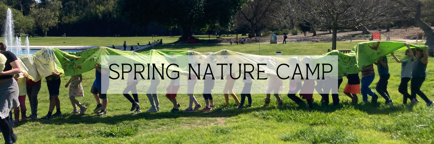 Nature Camp - The Arboretum