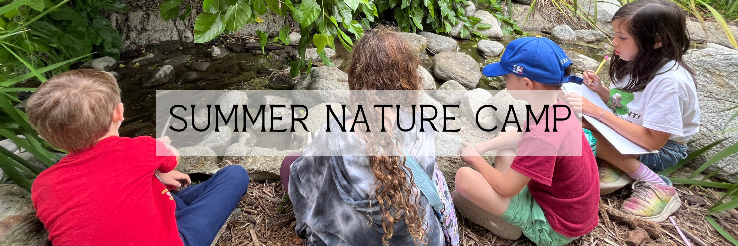 Nature Camp - The Arboretum