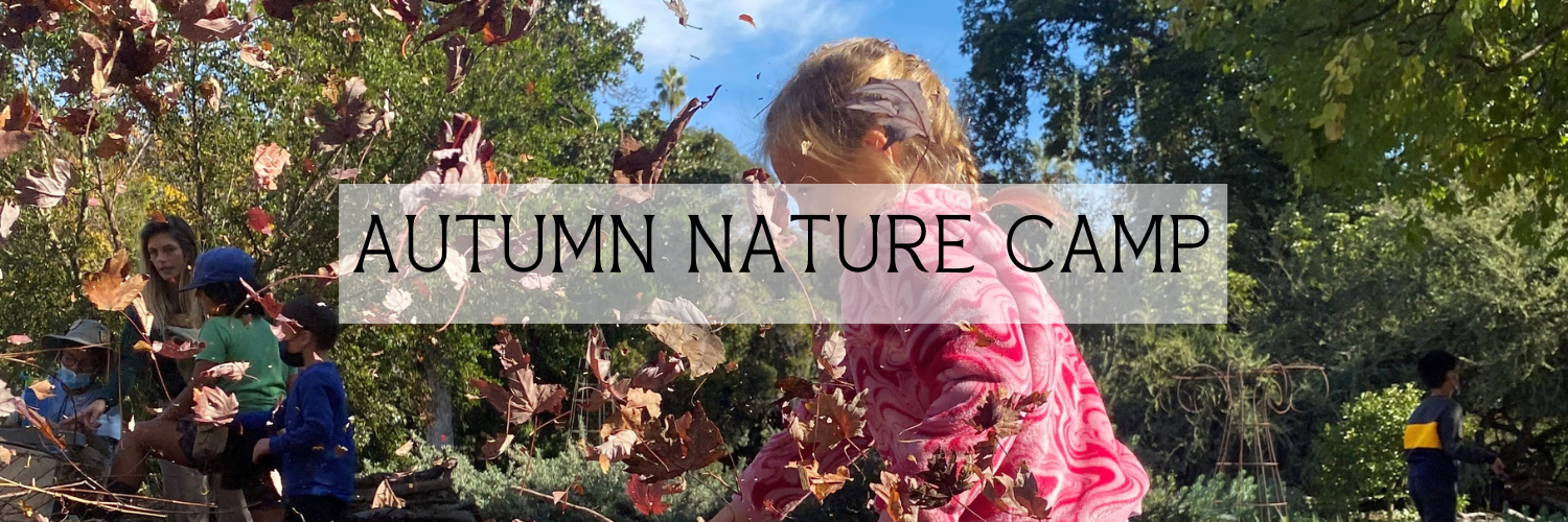 Nature Camp - The Arboretum