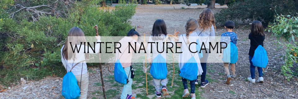 Nature Camp - The Arboretum