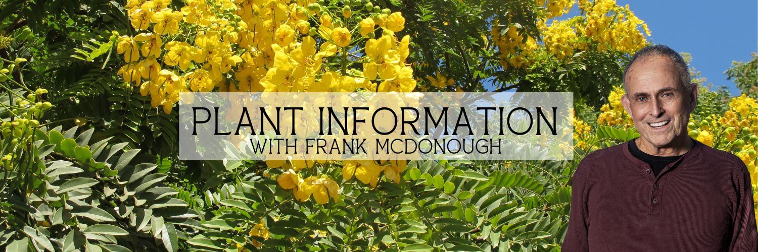 Botany and Beyond - The Arboretum