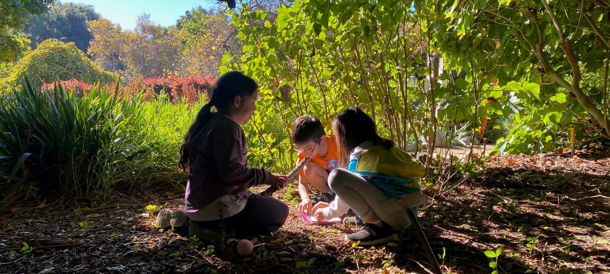 Front Page - The Arboretum