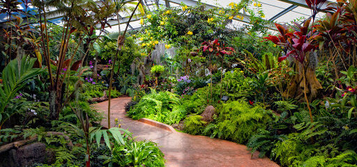 Tropical Greenhouse Walking Tour - The Arboretum
