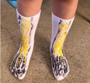 Front Page - The Arboretum